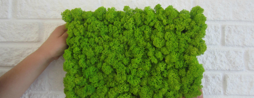 Mosvægge, vi er eksperter i fremstilling efter din ønsket mål!